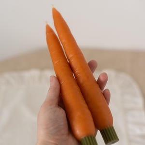 Carrot Candles, Food Candles, Real Fruit Vegetables Candles, Garden ...