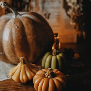 Beeswax Pumpkin Candles - Etsy