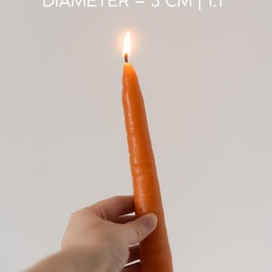 Carrot Candles, Food Candles, Real Fruit Vegetables Candles, Garden ...