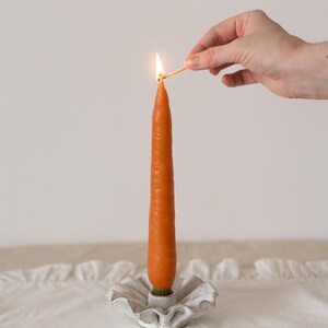 Carrot Candles, Food Candles, Real Fruit Vegetables Candles, Garden ...