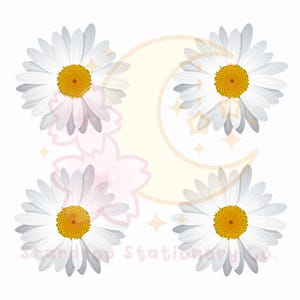 Daisy Stationery Set: Floral Letter Writing Paper, Envelopes & Seals - Etsy