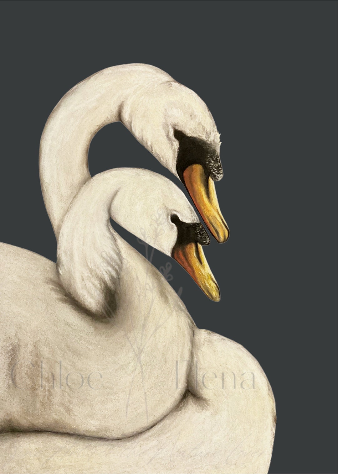Charcoal and Pastel Swan Pair "love" - Etsy UK