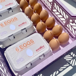 Egg Candles - 6 Pack Box - Etsy