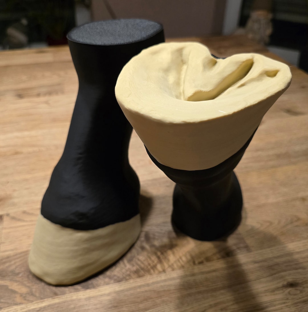 Horse Hoof 3D Printing Hoof Plastic Sculpture to Illustrate Hoof ...
