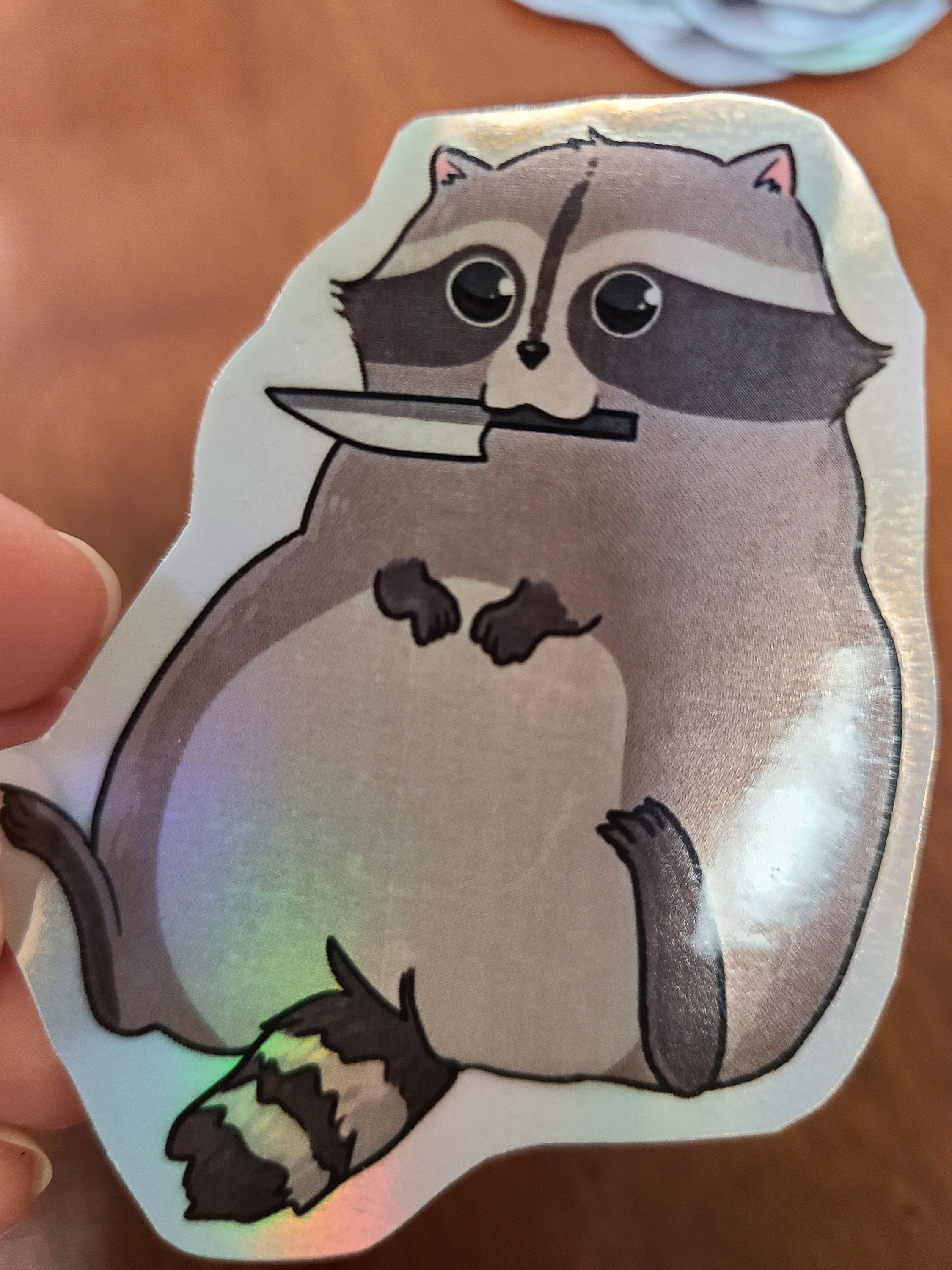 Danger Raccoon Sticker / Raccoon Sticker / Vinyl Sticker / - Etsy