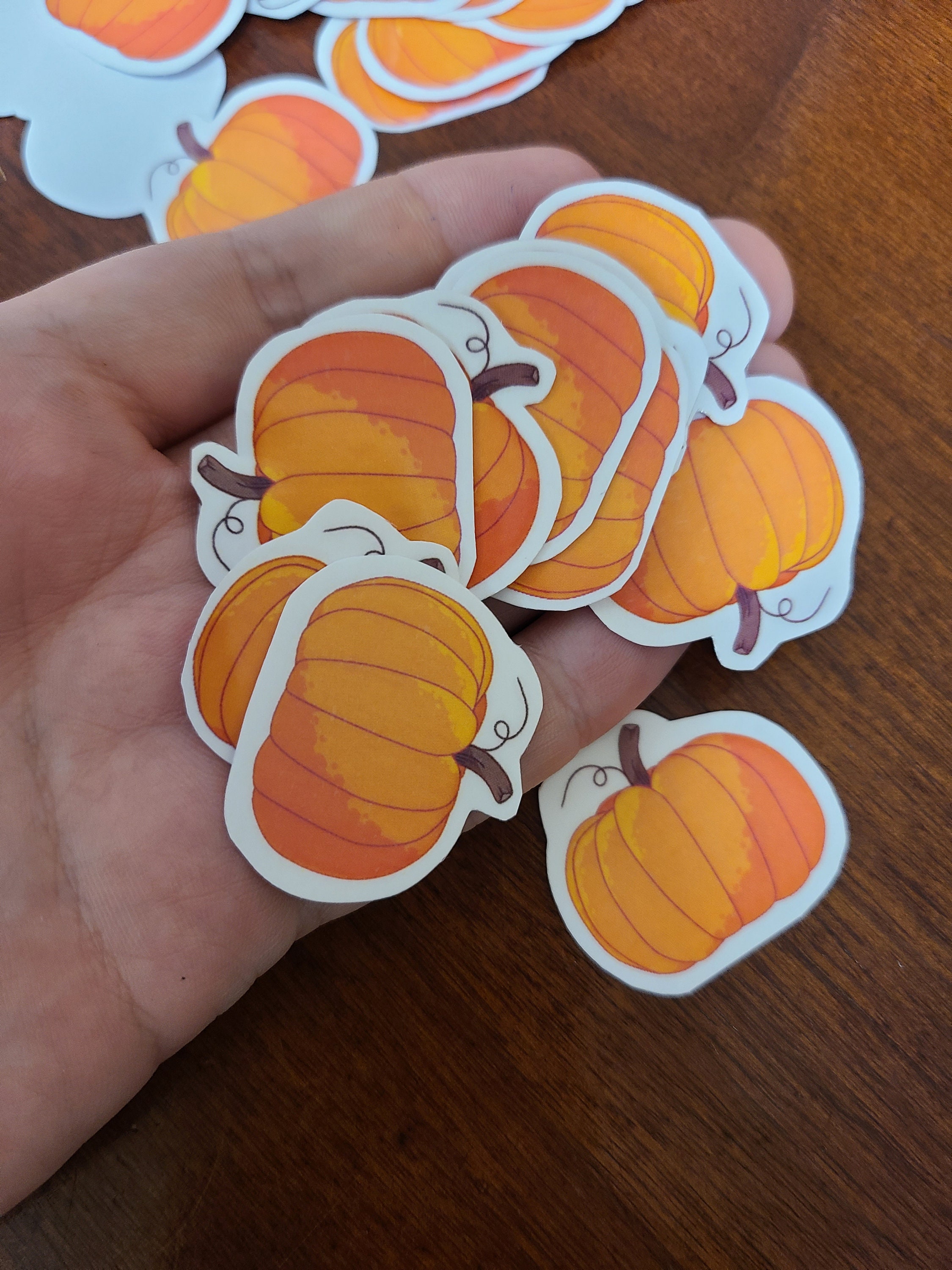 5 Mini Pumpkins / Pumpkin Stickers / Hydroflask / Hydroflask Stickers ...