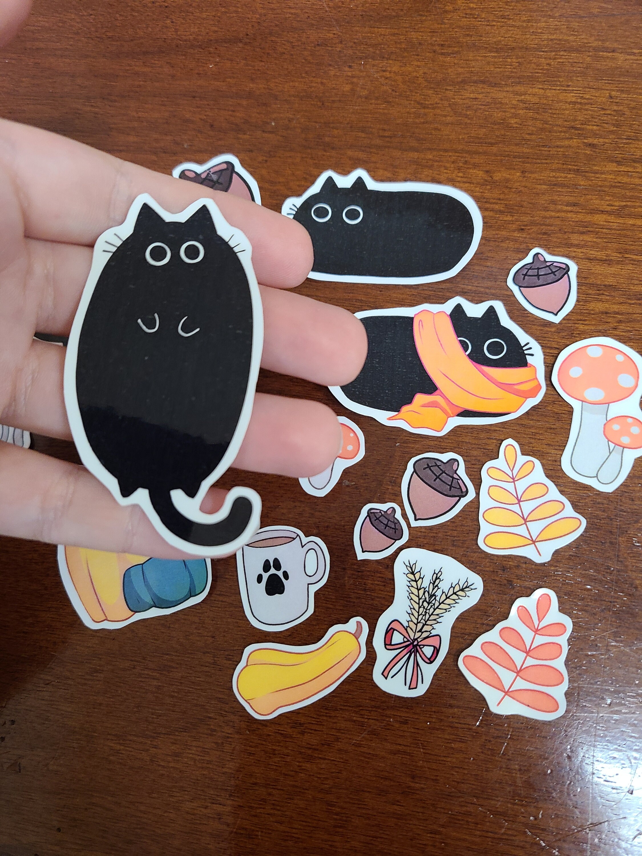 Herbst Katze Sticker Bundle / Sticker Pack / Hydroflask - Etsy
