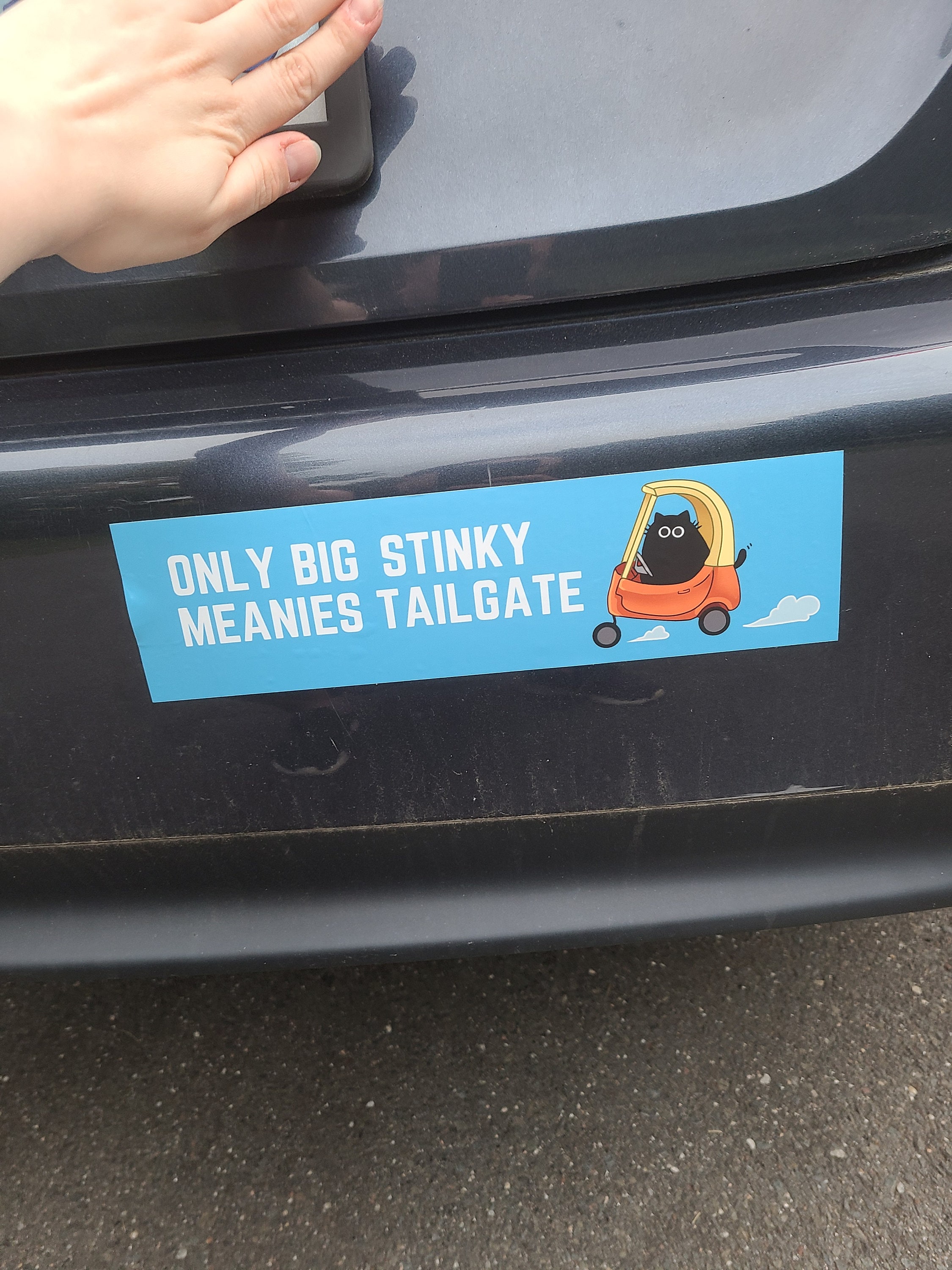 Cat Bumper Sticker / Funny Bumper Sticker / Vinyl Sticker / - Etsy