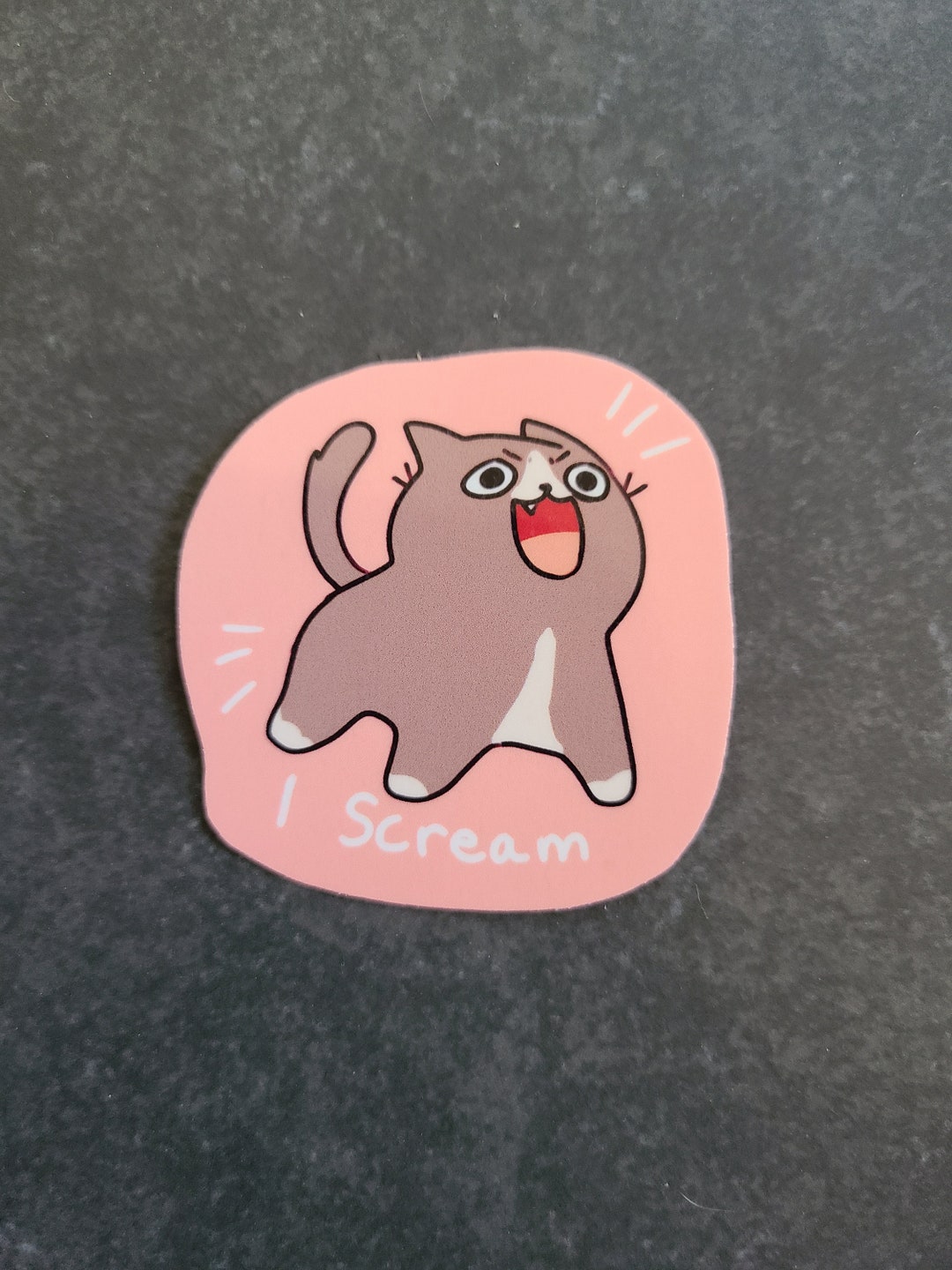 Screaming Cat Sticker / Cat Sticker / Vinyl Sticker / Journaling ...