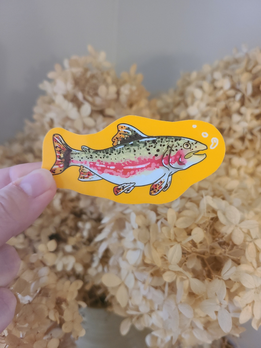 Rainbow Trout Sticker / Trout / Fishing / Fish Sticker / Vinyl Sticker ...