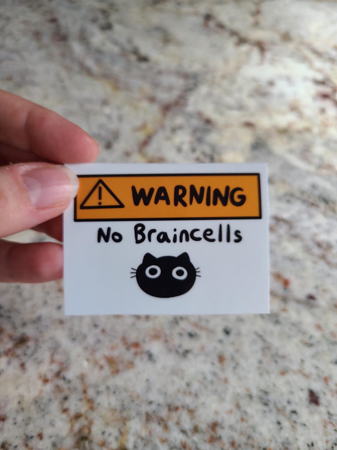 No Braincells Cat Sticker / Funny Cat / Vinyl Sticker / Journaling ...