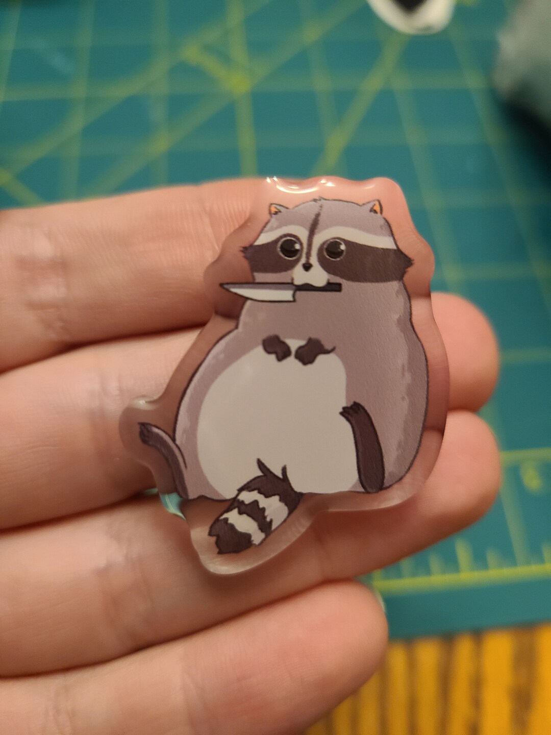 Raccoon Acrylic Pin / Pins / Acrylic Pin - Etsy