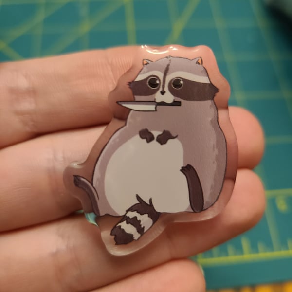 Raccoon Pin - Etsy