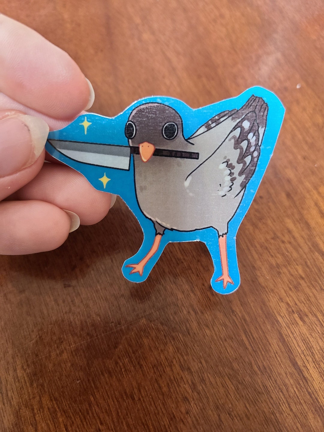 Danger Pigeon / Pigeon Sticker/ Bird Sticker / Birb / Vinyl Sticker ...