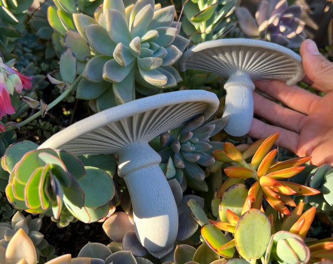 3D Reptile Amphibian Mushroom Platform Set - Etsy