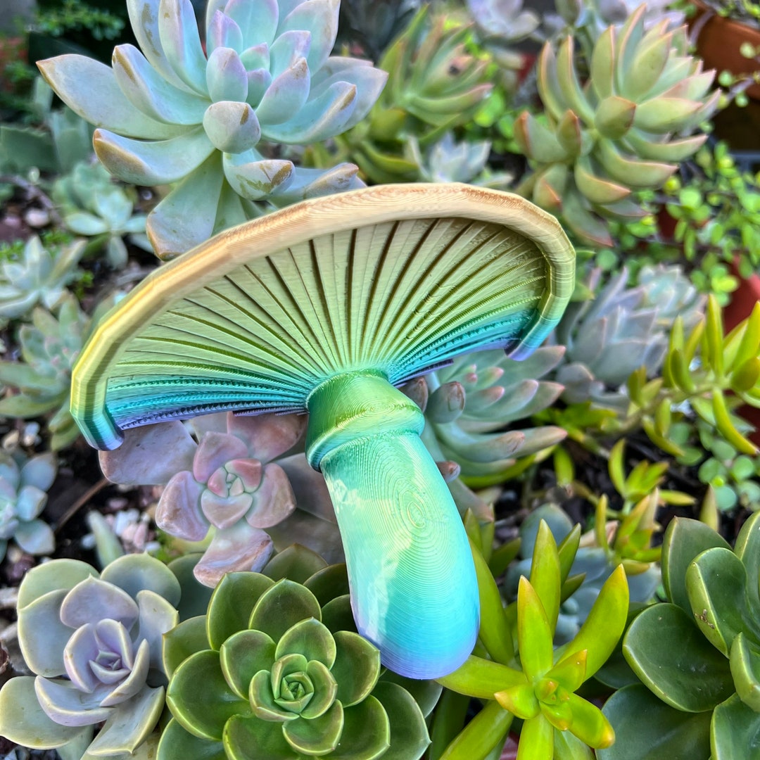 3D Reptile Amphibian Mushroom Platform - Etsy