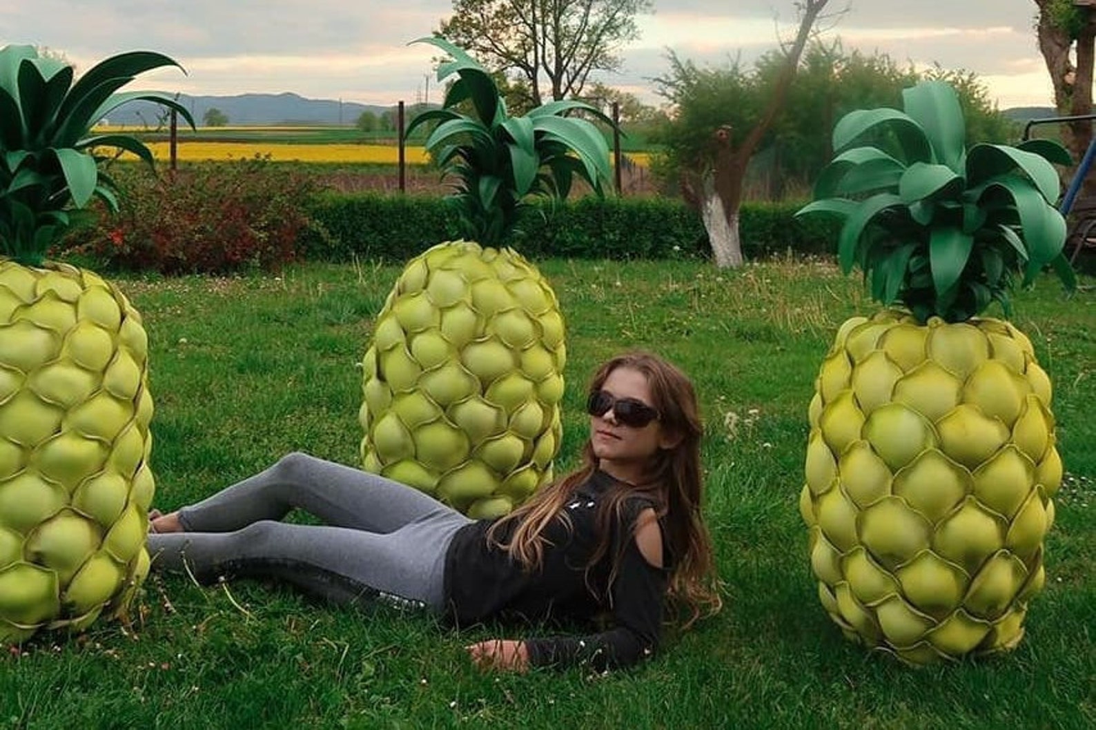 BIG pineapple. 120 centimeters. | Etsy