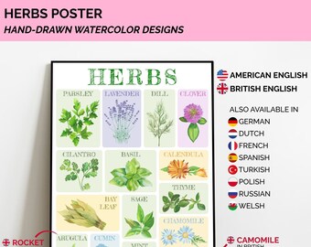 Kruiden poster - Etsy Nederland