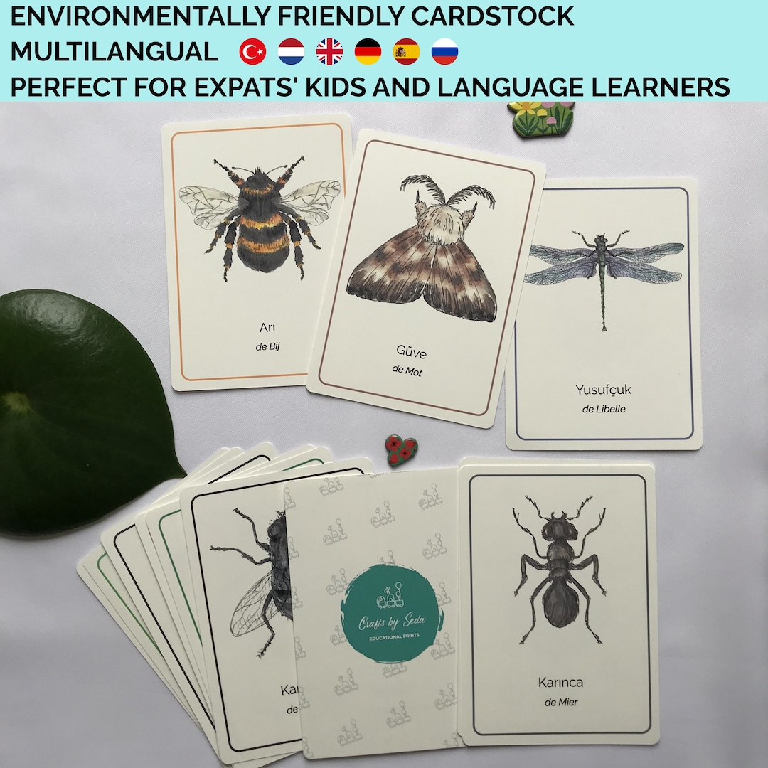 Tarjetas de insectos con diseños realistas Impreso en papel - Etsy España