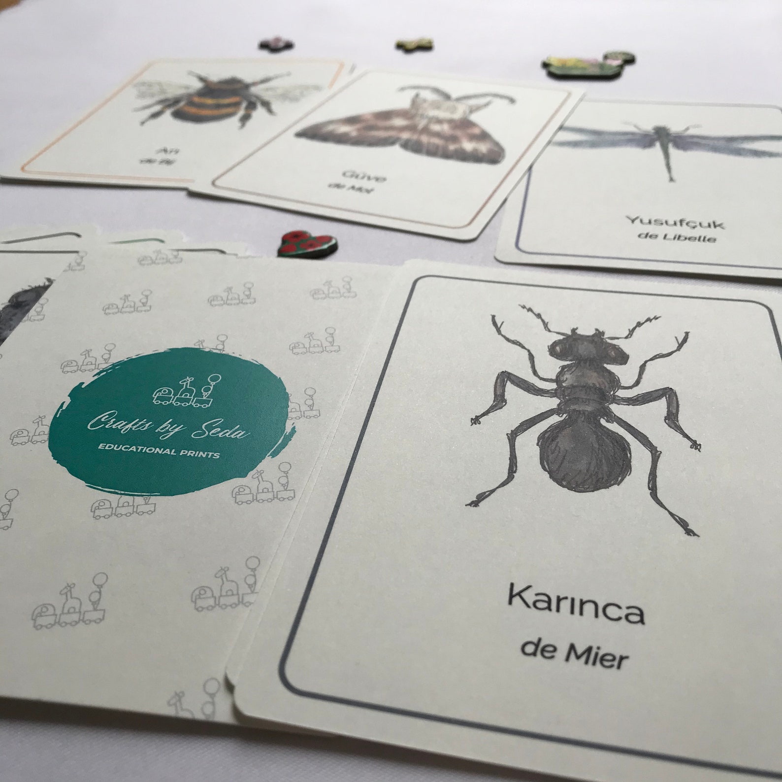 Tarjetas de insectos con diseños realistas Impreso en papel ecológico ...