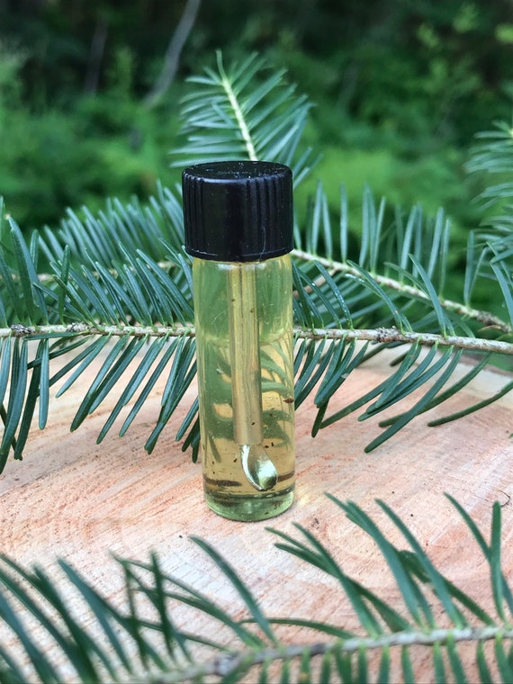 Pine Tree Sap