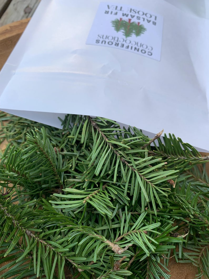 Balsam Fir Needle Tea: Northern Ontario Herbal Blend Hand Foraged - Etsy