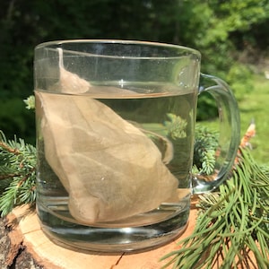 Organic Pine Needle Tea Variety Pack: White, Balsam, Red Pine - Etsy