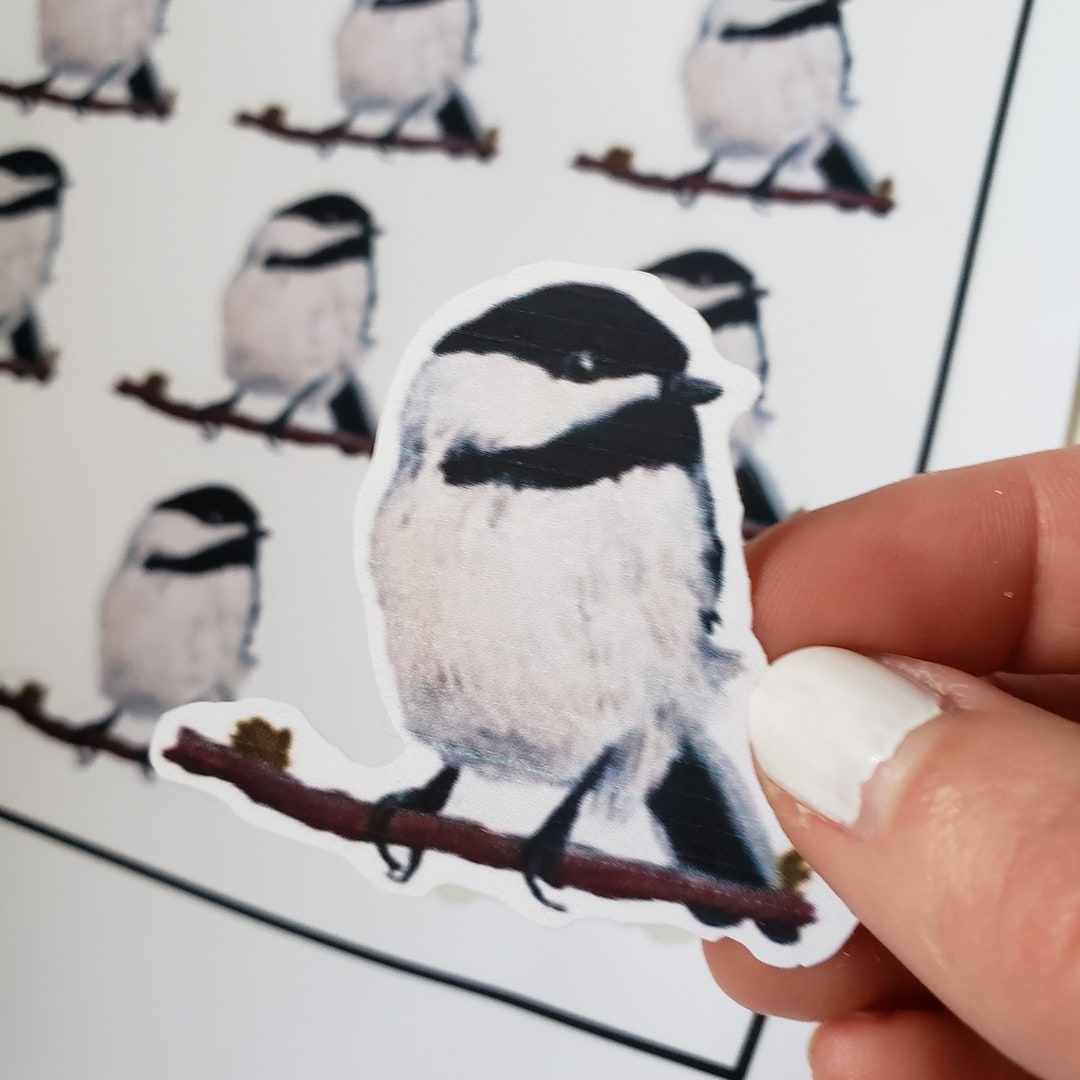 Vinyl Chickadee Sticker - Animal, Wildlife Sticker Matte 2in - Etsy