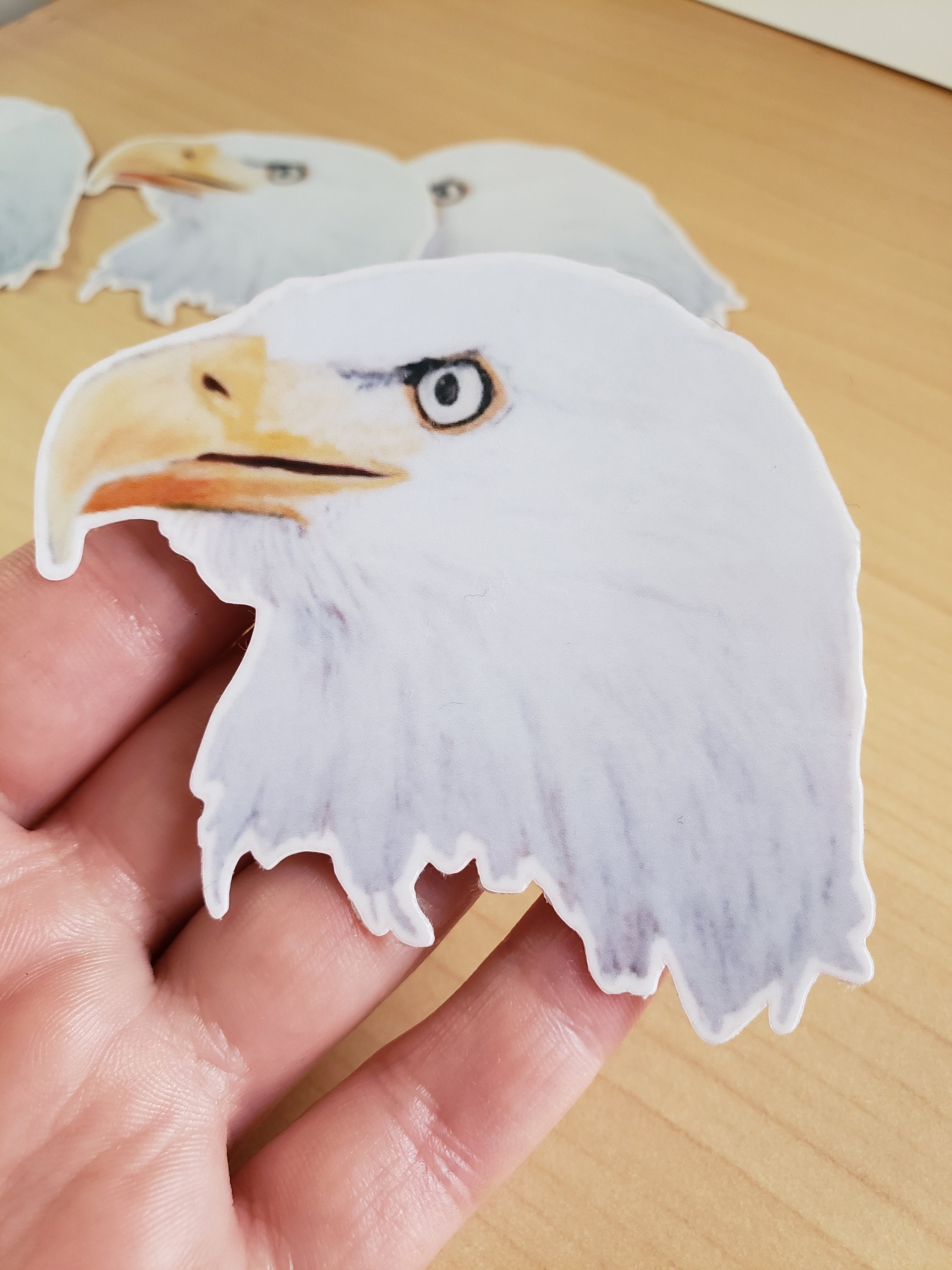 Bald Eagle Head Sticker 2.5in Laminated - Etsy