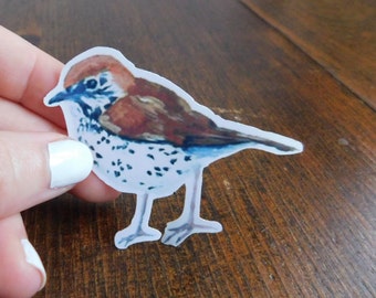 Thrush Sticker - Etsy