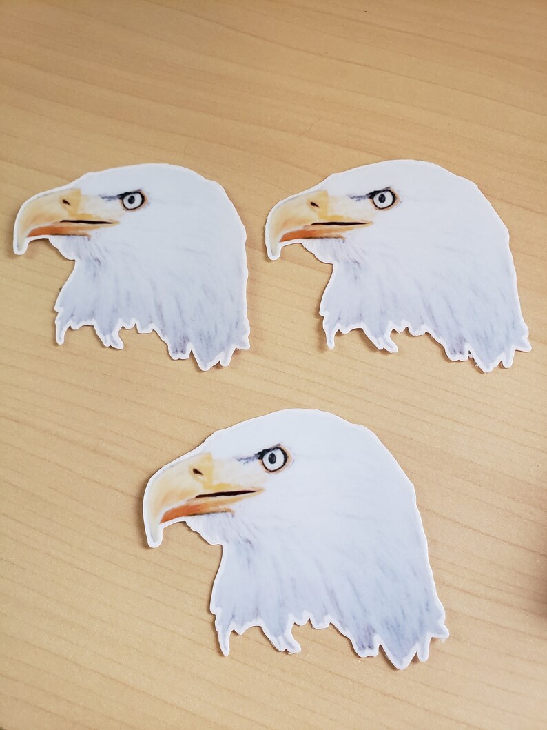 Bald Eagle Head Sticker 2.5in Laminated - Etsy