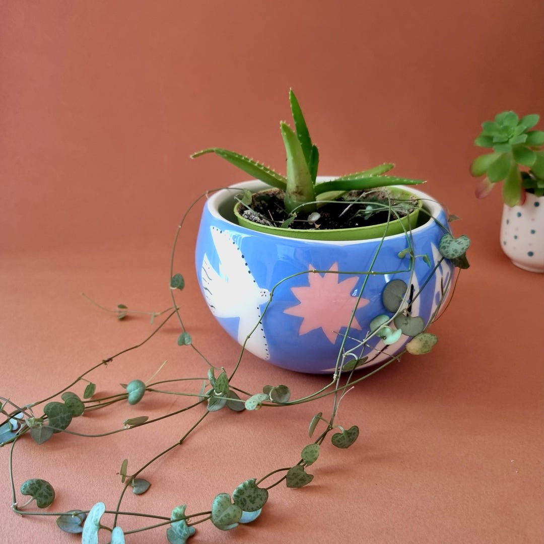 Cache Pot, Blue Bird Motif Planter, Home and Garden Decoration - Etsy
