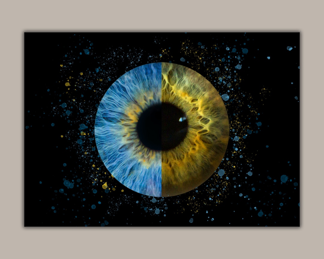 Custom Split Eyes Portrait Using Pictures of You and Your Partners Eyes ...