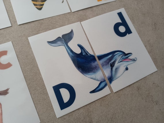 Alphabet Matching Cards Preschool Curriculum Homeschool | Etsy