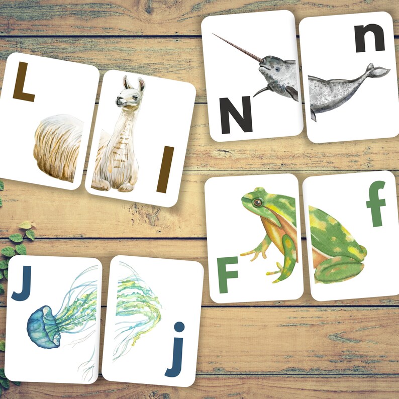 Alphabet Matching Cards Preschool Curriculum Homeschool - Etsy