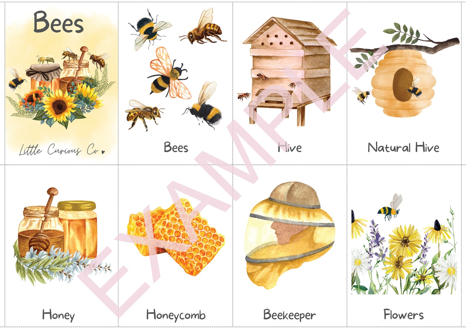 Printable Flashcards Montessori Learn Bees Homeschool Bee - Etsy
