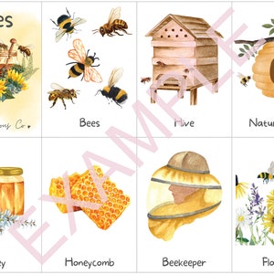 Printable Flashcards, Montessori Learn Bees, Homeschool Bee Nature ...