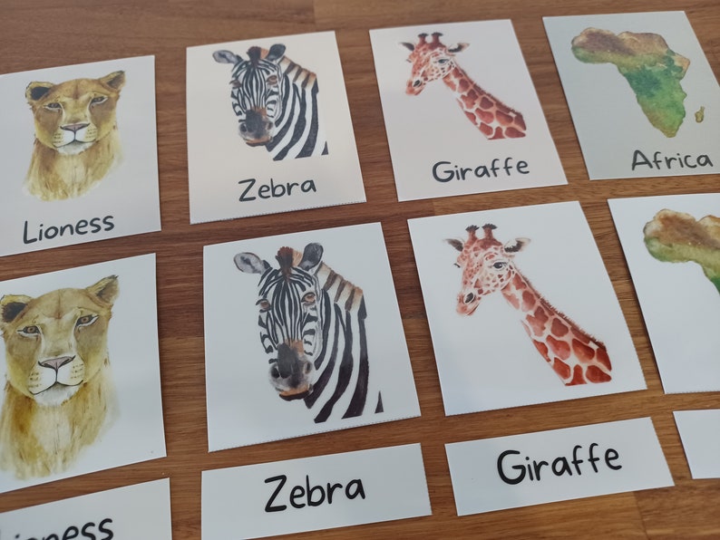 Printable Kids Flash Cards, Montessori Learn Africa Nature Study ...
