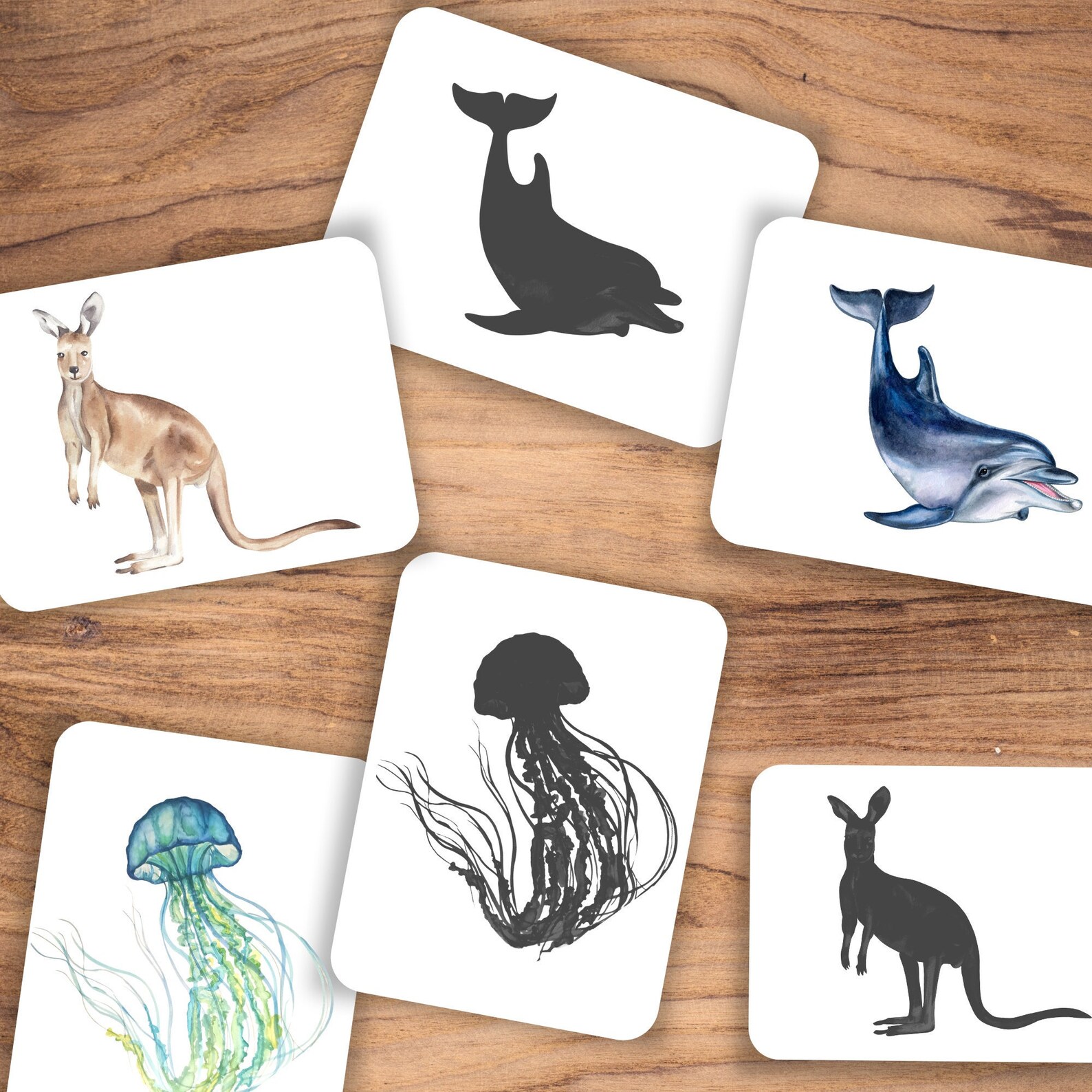 Animal Shadow Matching Flash Cards, Preschool Curriculum, Homeschool ...