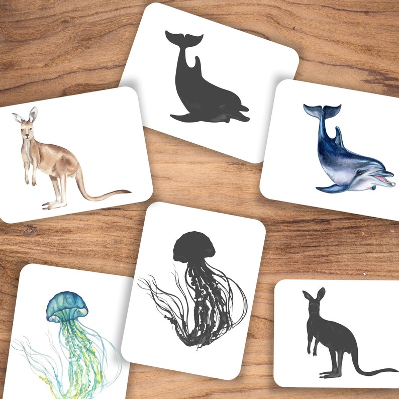 Animal Shadow Matching Flash Cards, Preschool Curriculum, Homeschool ...