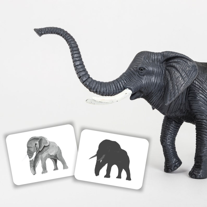 Animal Shadow Matching Flash Cards Preschool Curriculum - Etsy