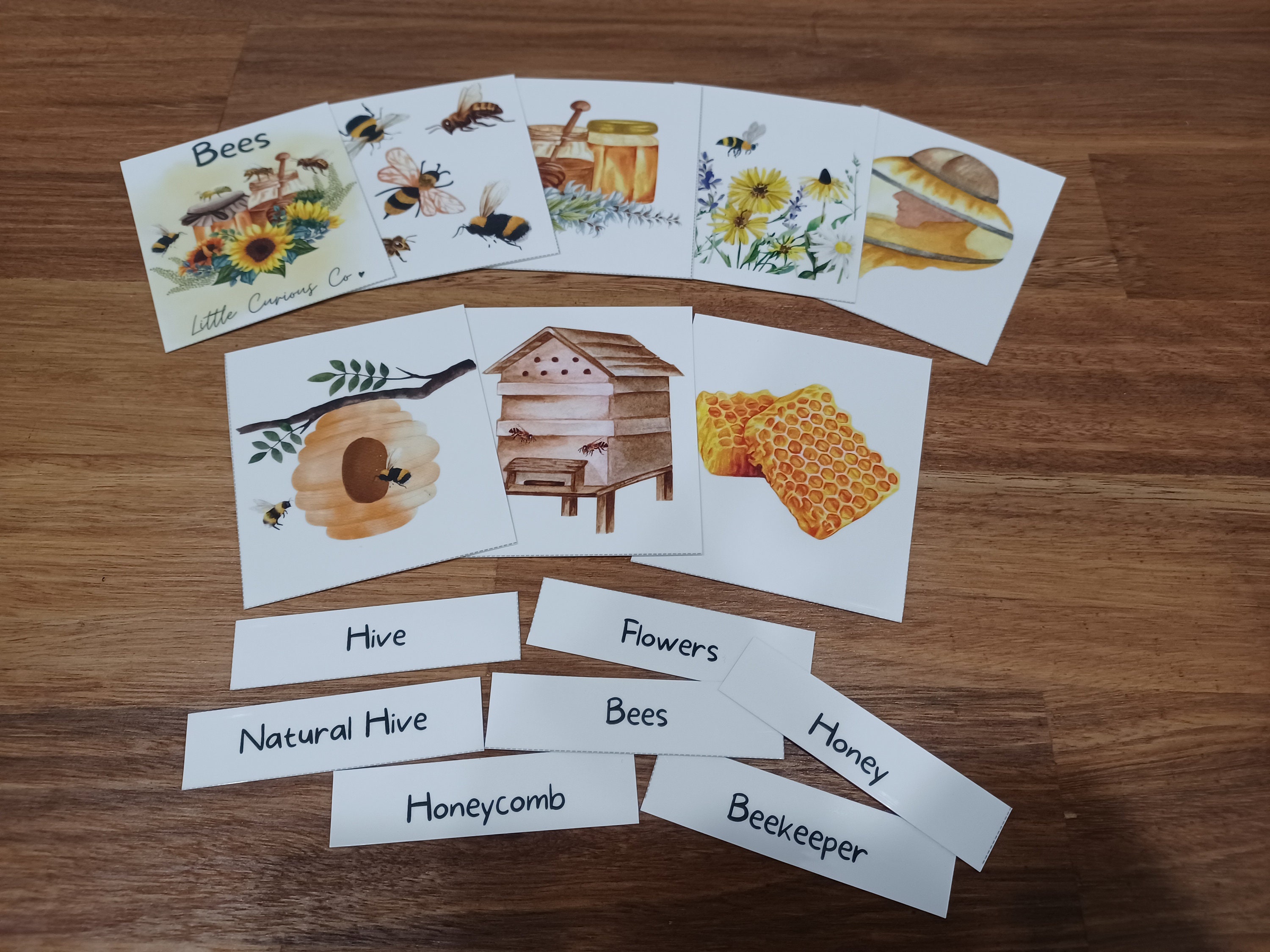 Printable Flashcards Montessori Learn Bees Homeschool Bee - Etsy