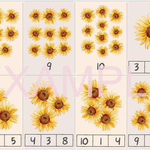 Printable Kids Flash Cards, Montessori Learn Sunflower Anatomy ...