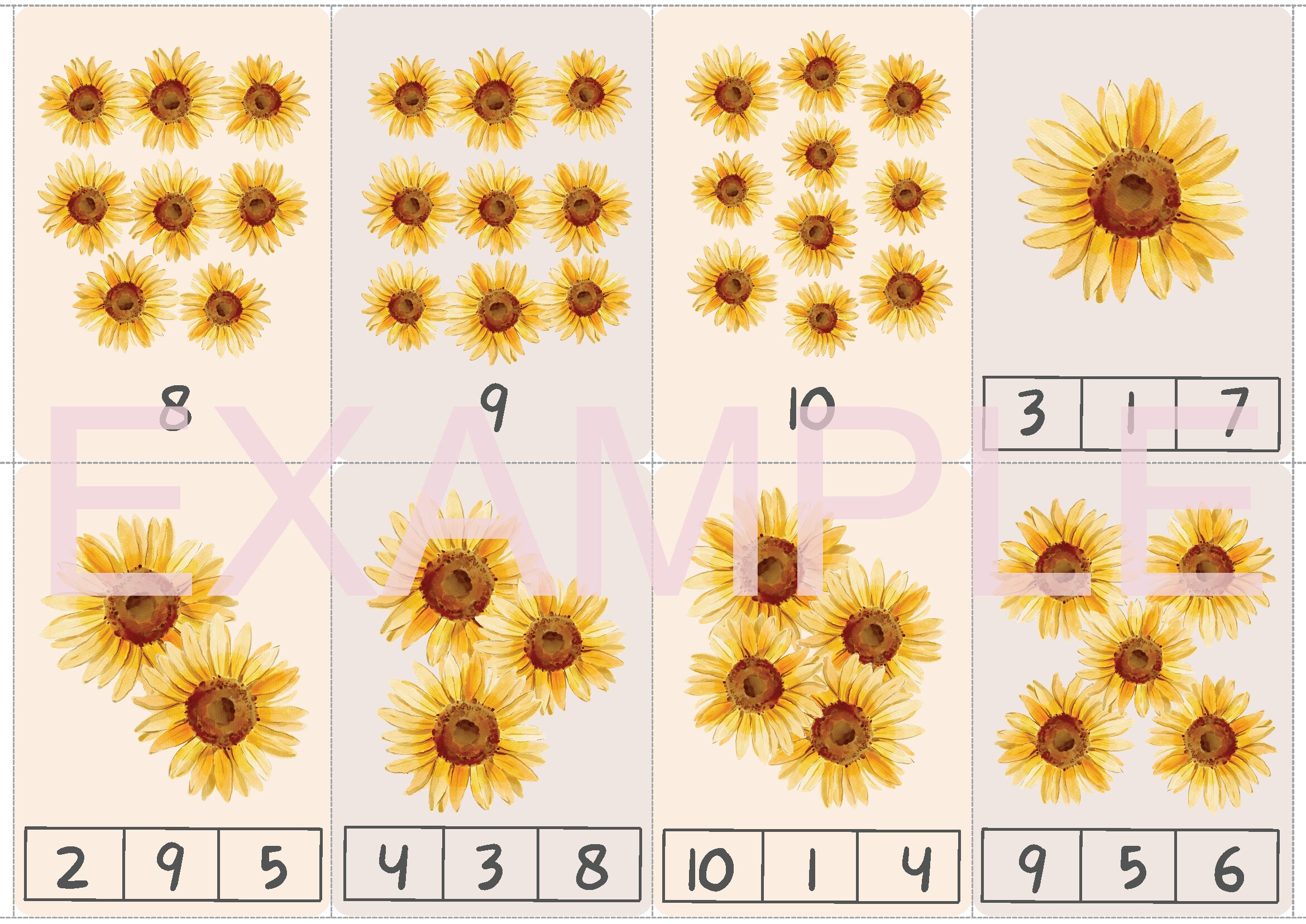 Printable Kids Flash Cards, Montessori Learn Sunflower Anatomy ...