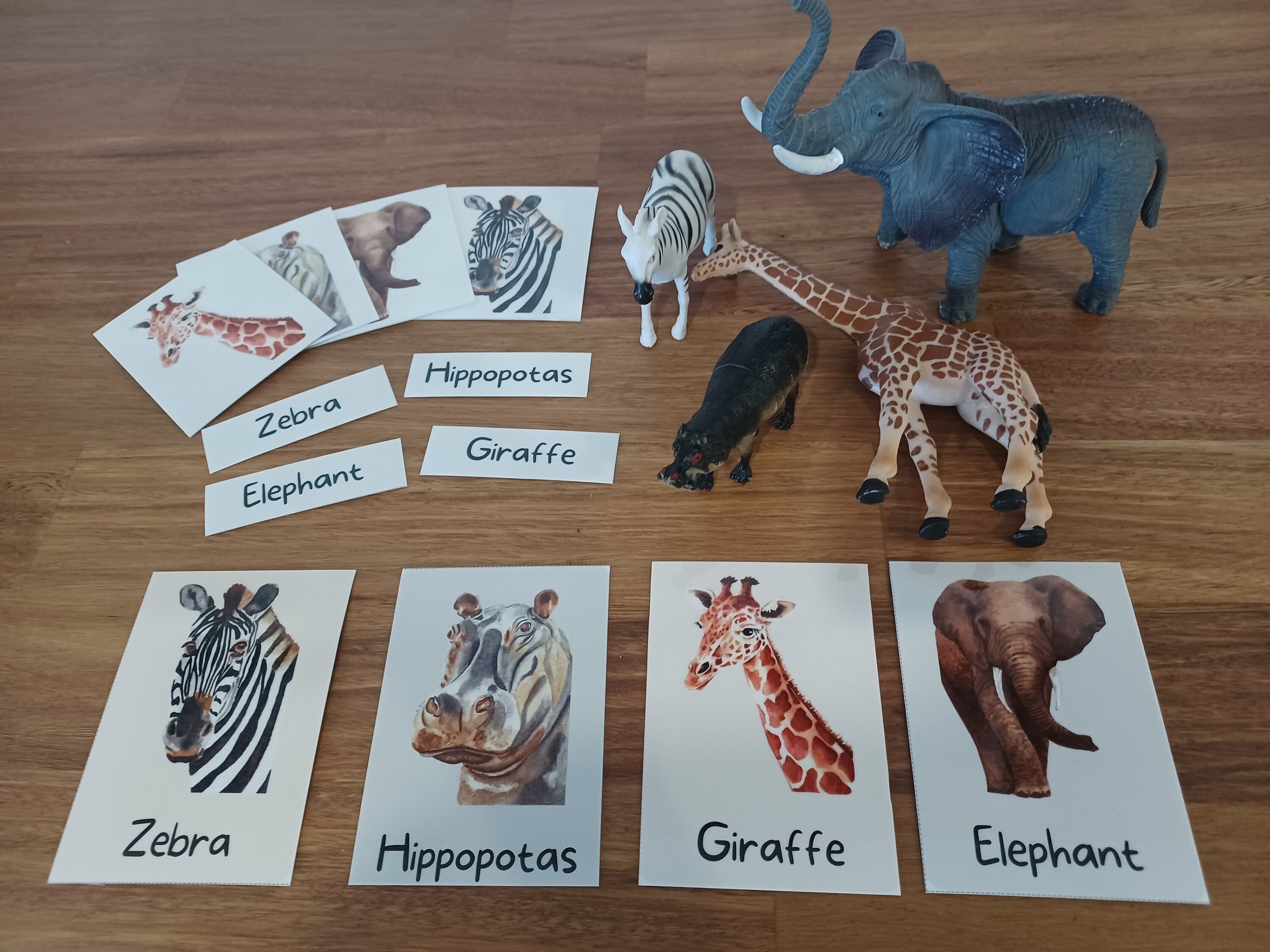 Printable Kids Flash Cards Montessori Learn Africa Nature - Etsy