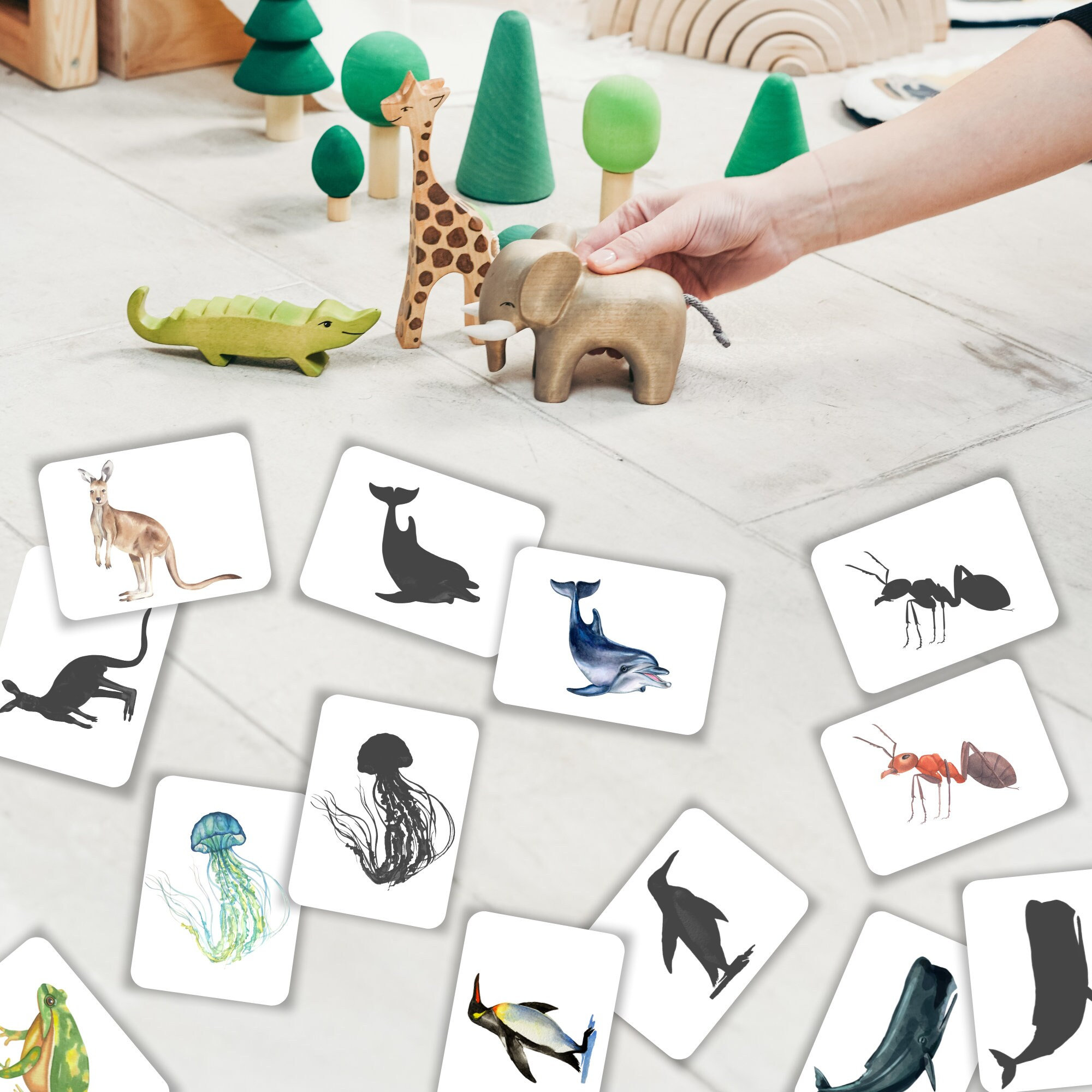 Animal Shadow Matching Flash Cards Preschool Curriculum - Etsy