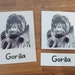 Printable Kids Flash Cards, Montessori Learn Africa Nature Study ...