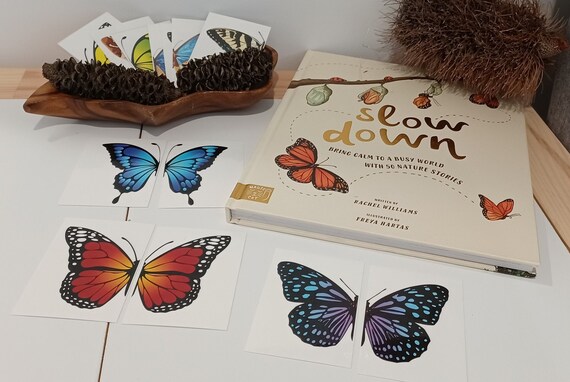Butterfly Matching Cards Preschool Curriculum Homeschool | Etsy