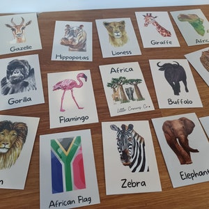 Printable Kids Flash Cards, Montessori Learn Africa Nature Study ...