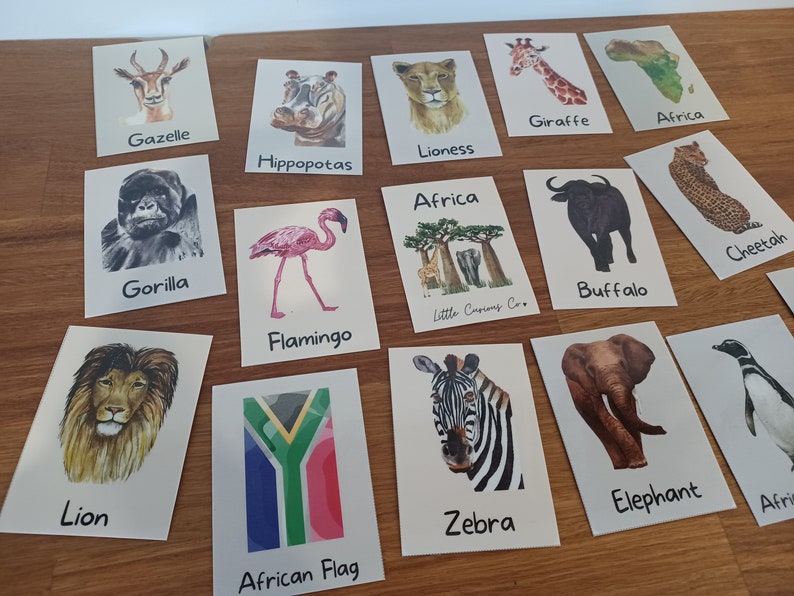 Printable Kids Flash Cards Montessori Learn Africa Nature - Etsy
